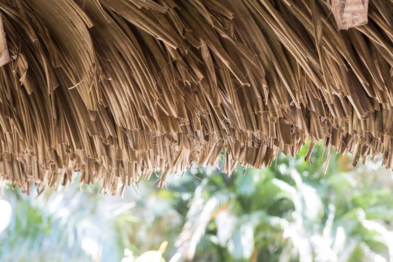 Tropical Thatched Roof Pavilion Sunset, Maldives Stock Image - Image of ...