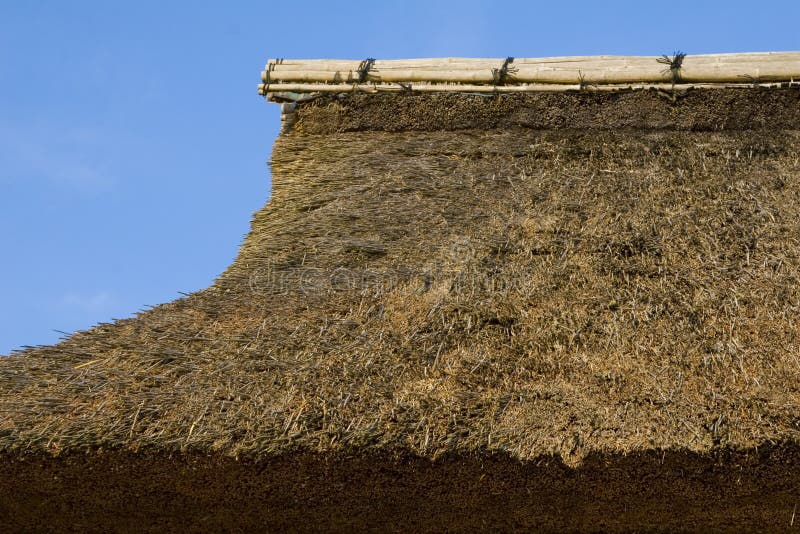 Thatched Roof stock photo. Image of architecture, farm - 2116452