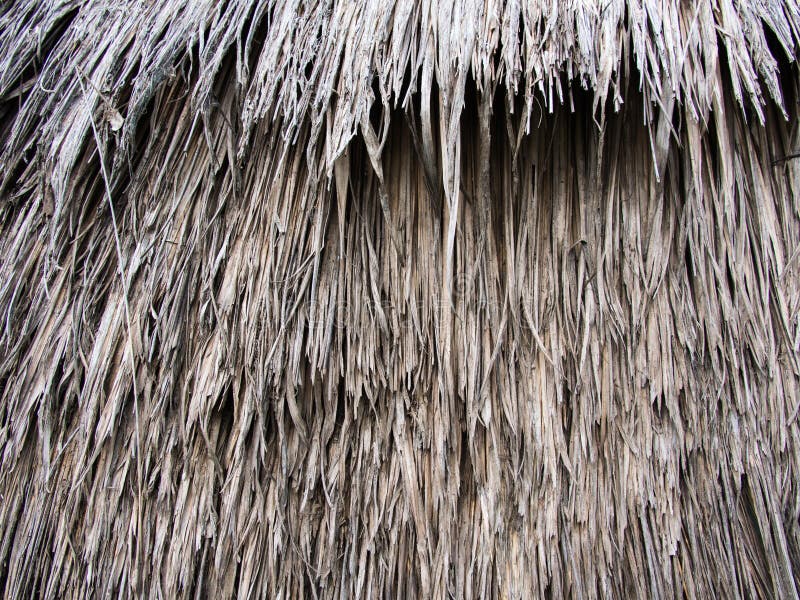Thatched Roof Background stock photo. Image of bamboo - 79735426