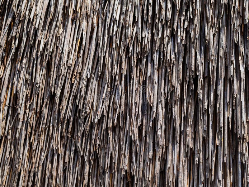 12,399 Hut Texture Stock Photos - Free & Royalty-Free Stock Photos from ...