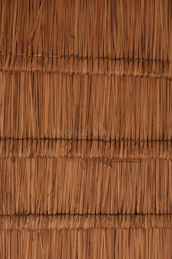 Thatched roof stock photo. Image of texture, bamboo, grass - 31144048