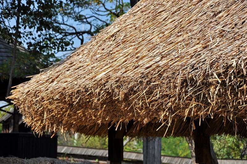 Thatched Roof Construction Details