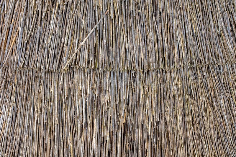 40+ Thatched roof texture Free Stock Photos - StockFreeImages