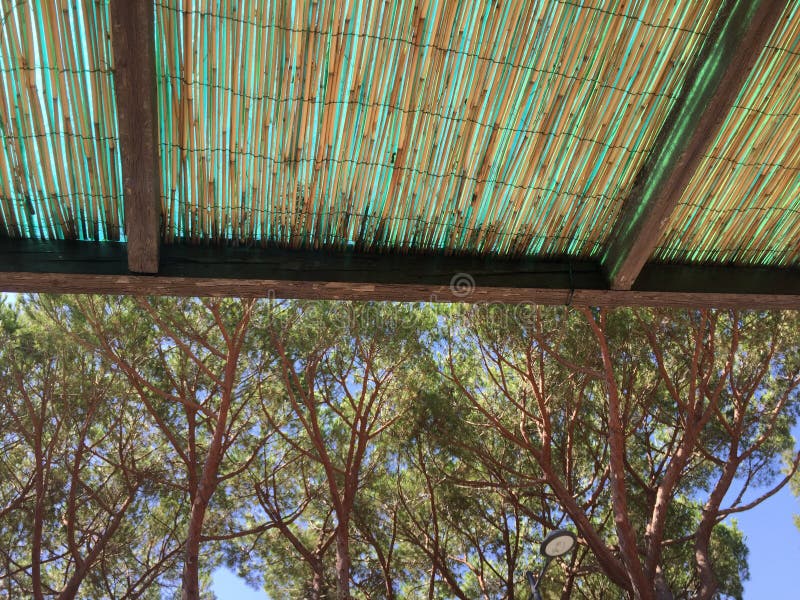 Thatched roof in garden stock image. Image of rafter - 57724333