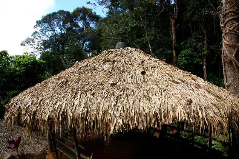 The thatched roof stock image. Image of rural, roofing - 46746487
