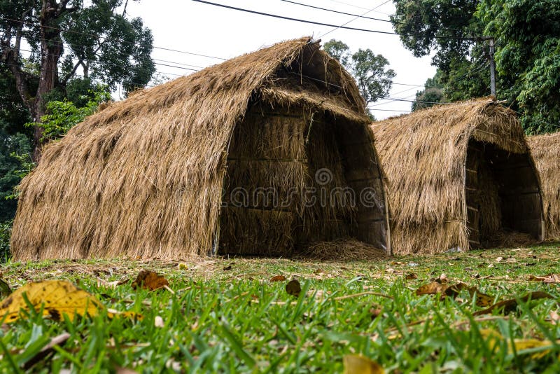 5,191 Grass Thatched Roof House Stock Photos - Free & Royalty-Free ...