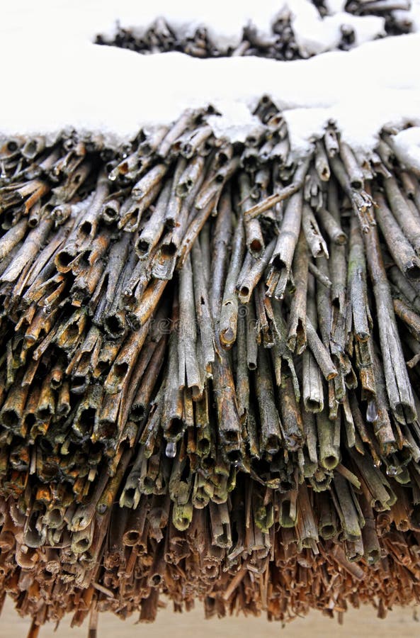 Thatched Roof House Detail of Straw Eaves Stock Image - Image of rural ...