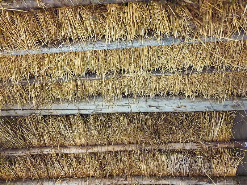 Thatched Roof of House Inside View, Texture Background Stock Photo ...