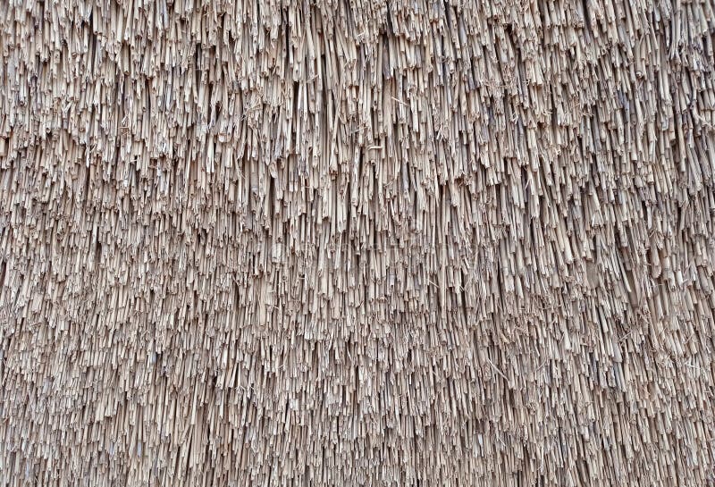 Straw Pattern of Roof or Wall. Stock Image - Image of material, straw ...