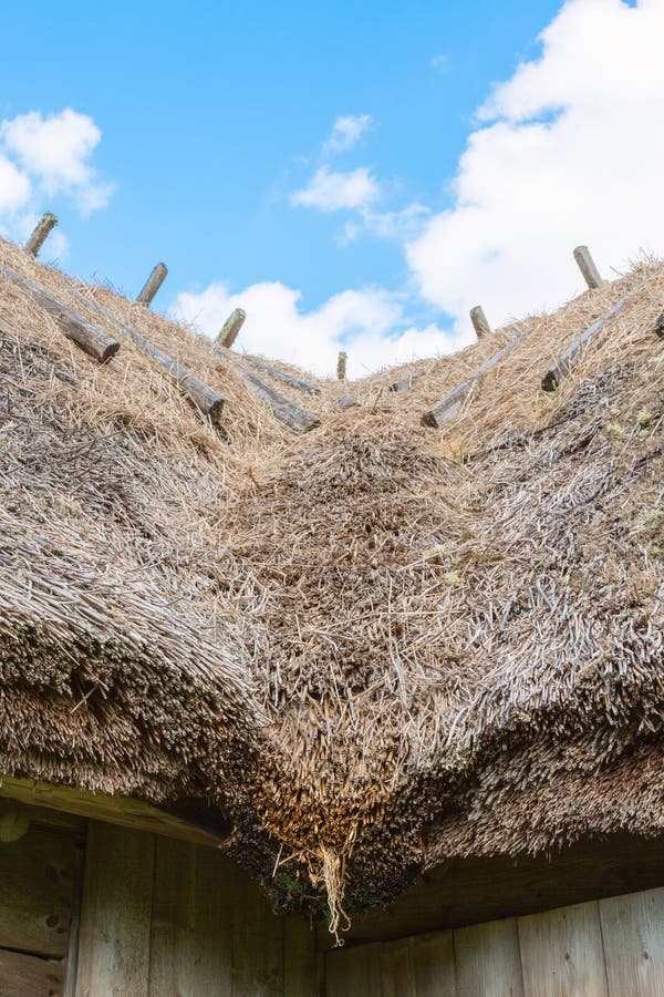 Thatched roof stock image. Image of reeds, straw, roofs - 14577299