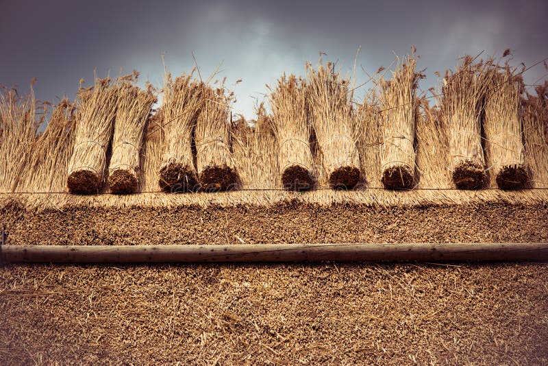 Thatched Roof with Straw and Bundle Reed Stock Photo - Image of straw ...
