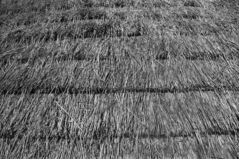Thatched Patterns Stock Photos - Free & Royalty-Free Stock Photos from ...