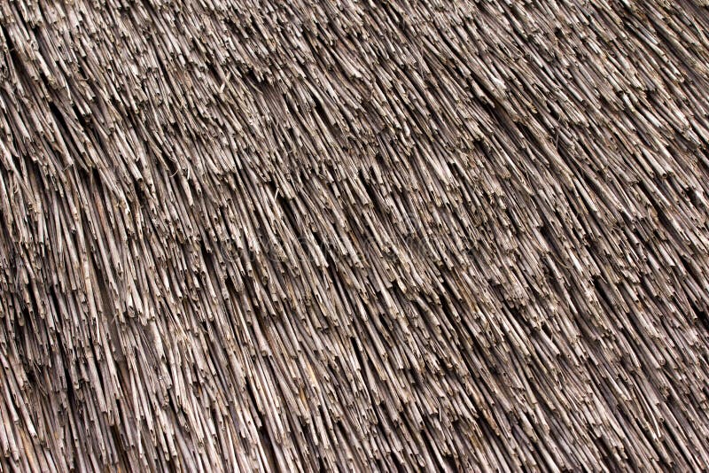 Thatched roof texture. stock image. Image of home, roofing - 32631987