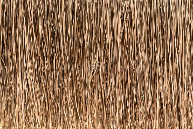 Thatched Roof Texture Seamless
