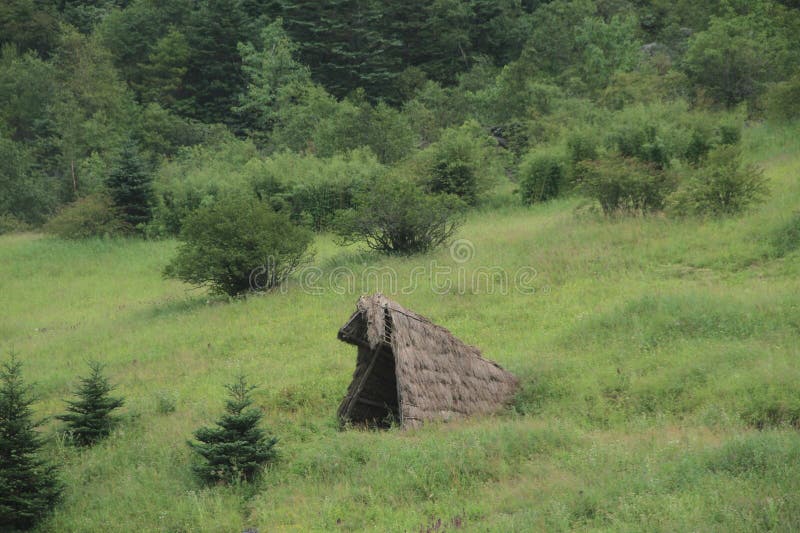 Thatched shack stock photo. Image of meadow, wilderness - 364788984