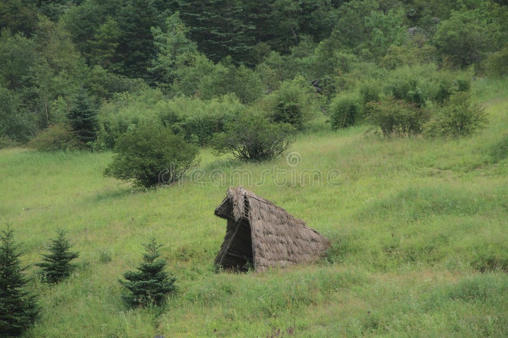 Thatched shack stock photo. Image of meadow, wilderness - 364788984