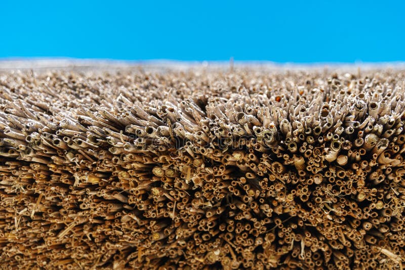 Thatched Straw Roof Against a Blue Sky Background Stock Photo - Image ...