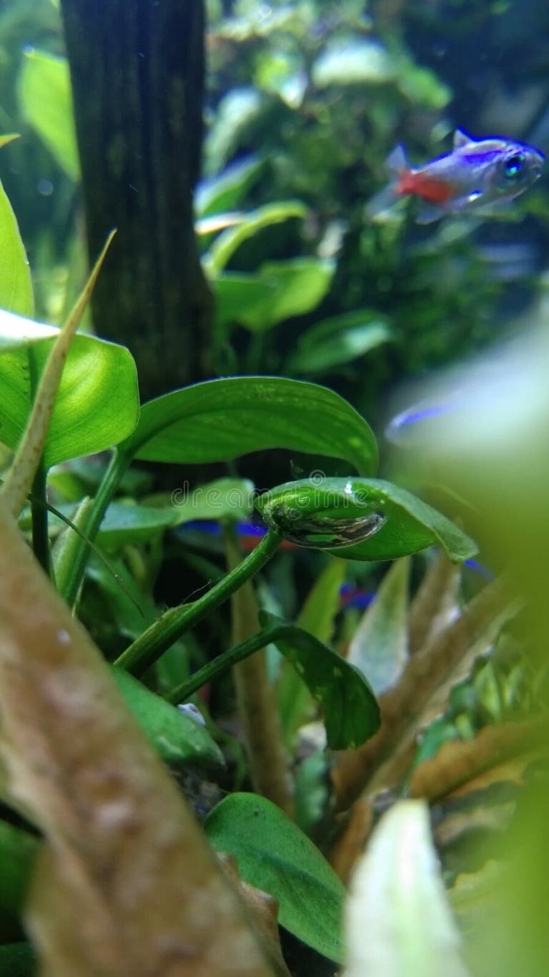 12,539 Thats Outragious Stock Photos - Free & Royalty-Free Stock Photos ...