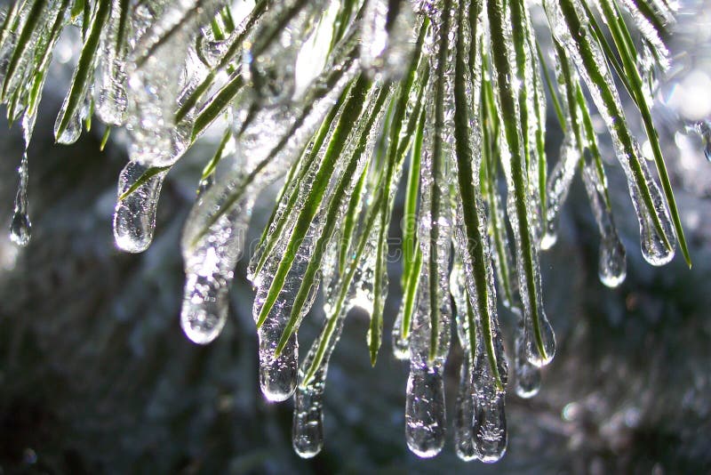 The thaw stock image. Image of cold, winter, clear, nature - 980573