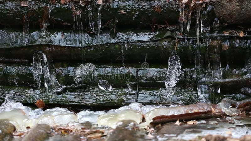 Thaw and Falling Drops of Water Stock Footage - Video of spring, thaw ...