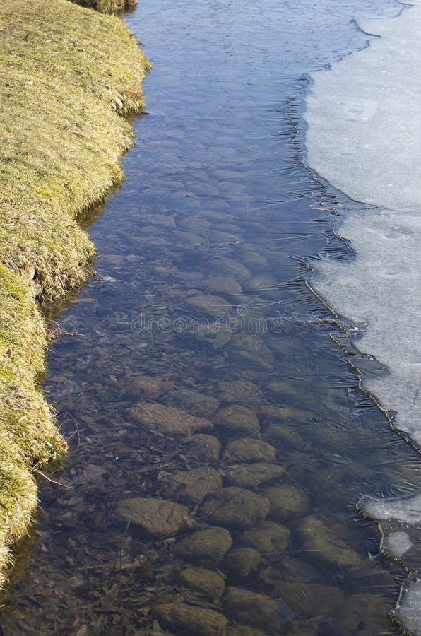 During the Thaw Rocks on the Bottom between the Shore and the Ice Floe ...