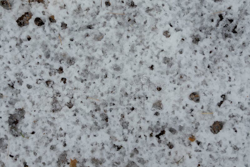 Thaw Snow-melt. Raindrops Pattern on Snow Stock Image - Image of season ...