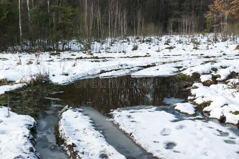 Thaw in Winter, Puddles and Slush Stock Photo - Image of reflection ...