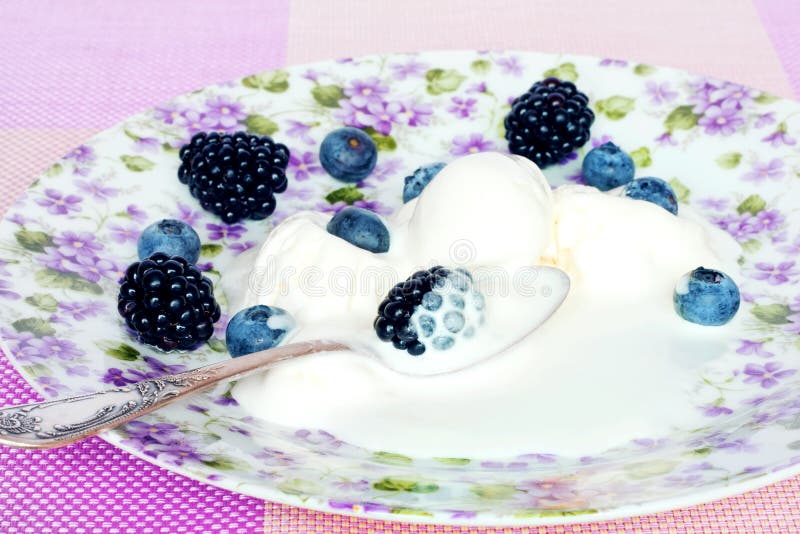 The thawed ice cream stock image. Image of yummy, blueberry - 41696275