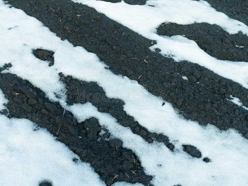 A Thawed Patch in the Snow with Black Ground Spring Scenery Stock Photo ...