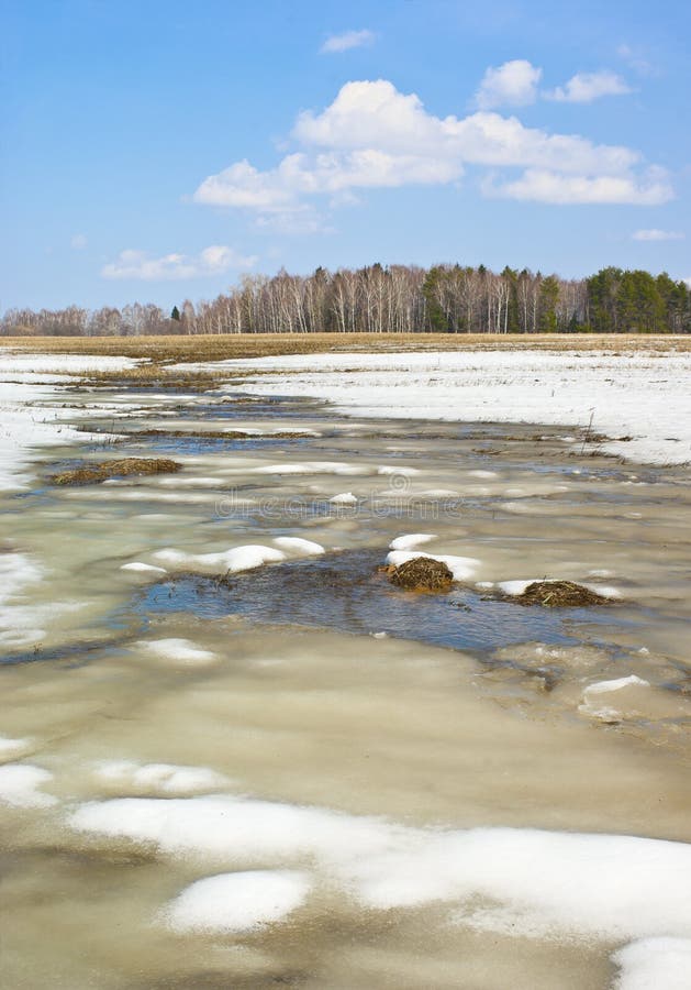 Thawing of snow stock image. Image of season, land, damp - 26846199