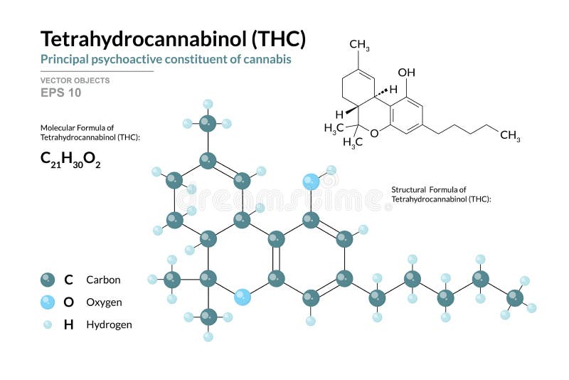 THC. Tetrahydrocannabinol. Psychoactive Constituent of Cannabis ...