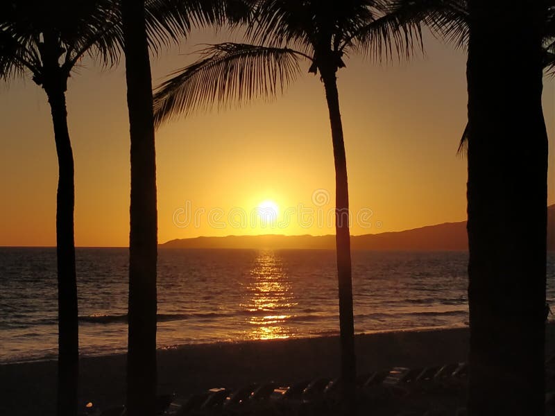 @thebeach stock image. Image of mexico, sunset, sunshine - 151044181