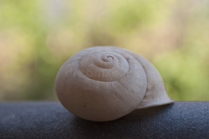 The Snail Shell House on the Iron Gray Fence , Sunset Stock Photo ...