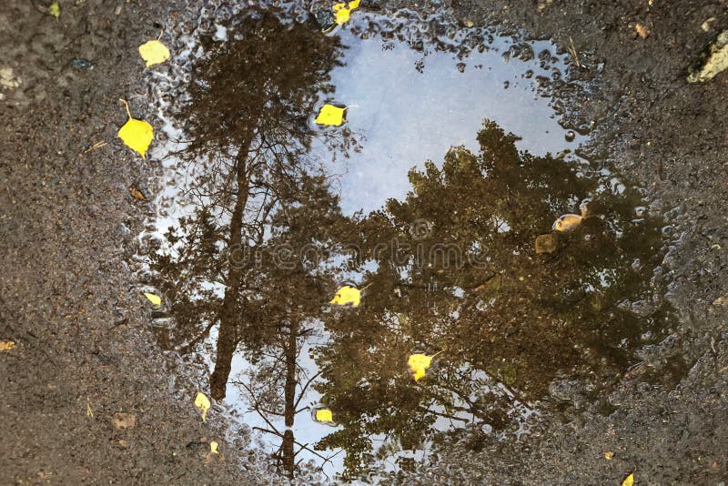 Theme of Autumn and Rainy Weather. Mirror Puddles Stock Image - Image ...