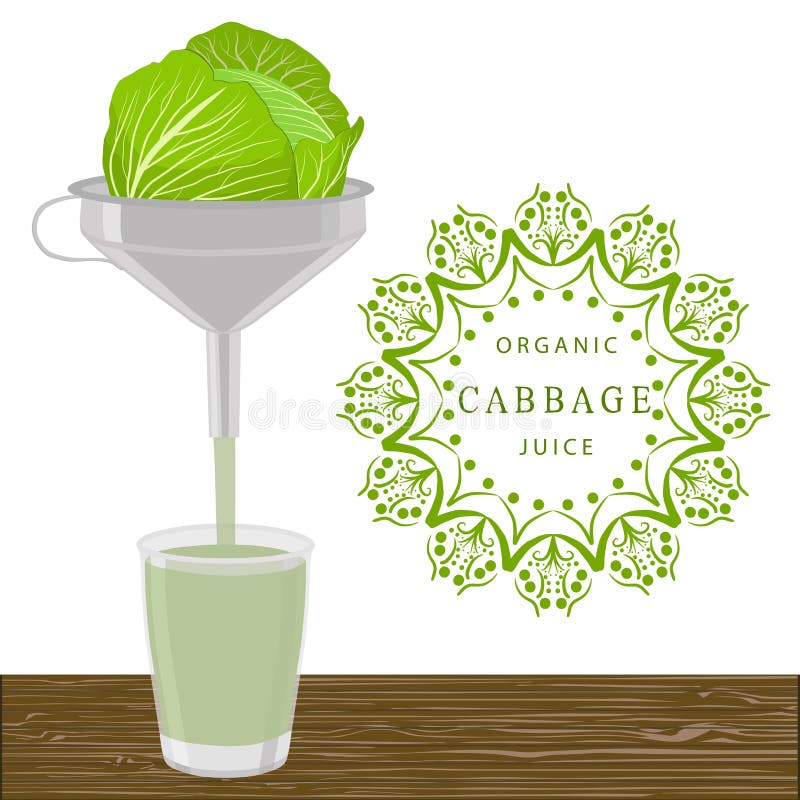 The theme cabbage stock vector. Illustration of glass - 96304317
