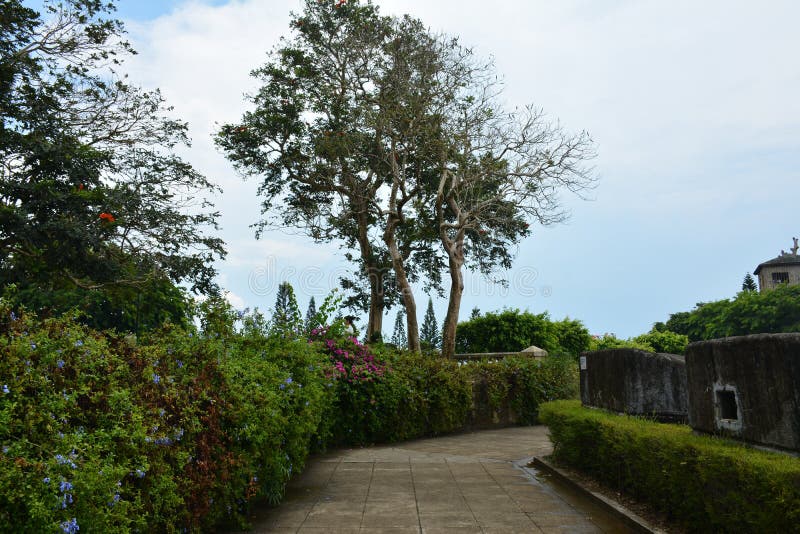 Theme Park Pathway with Surrounding Plants and Trees Stock Image ...