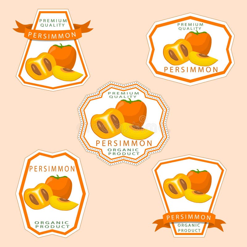 The theme persimmon stock vector. Illustration of kaki - 97079753