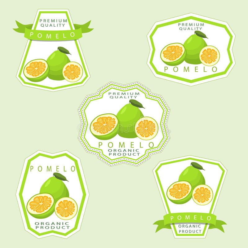 Pomelo Stock Illustrations – 2,778 Pomelo Stock Illustrations, Vectors ...