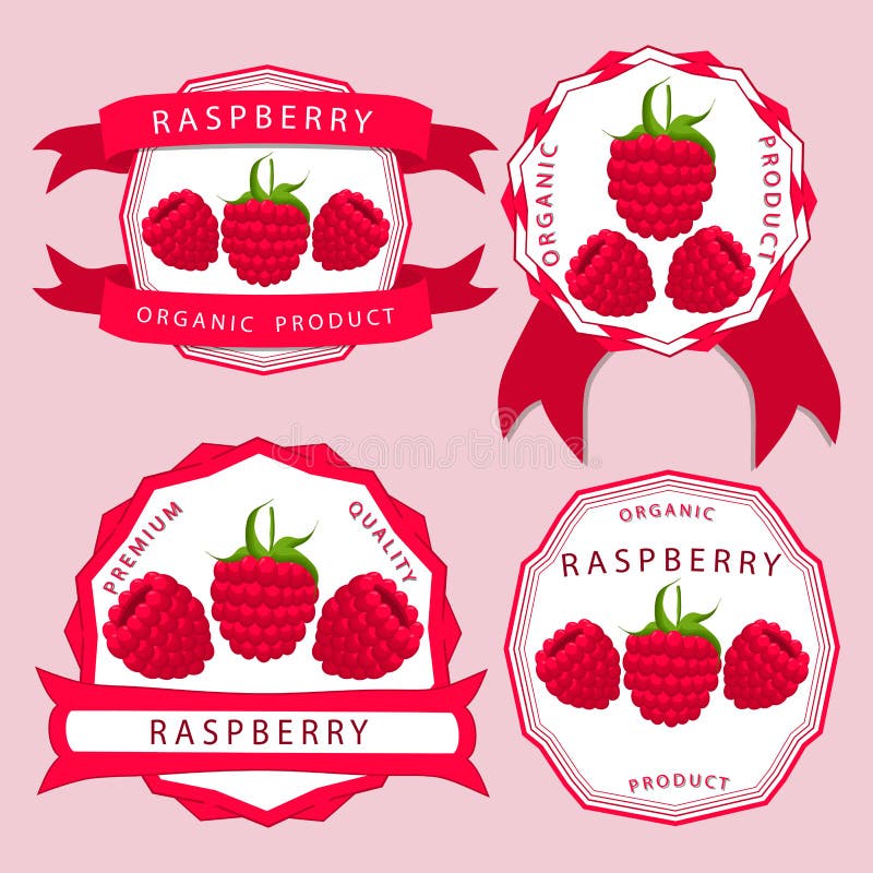 The theme raspberry stock vector. Illustration of icon - 97079558