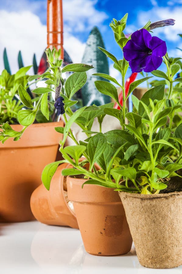 Theme of Spring Work in Garden Stock Image - Image of commissions ...