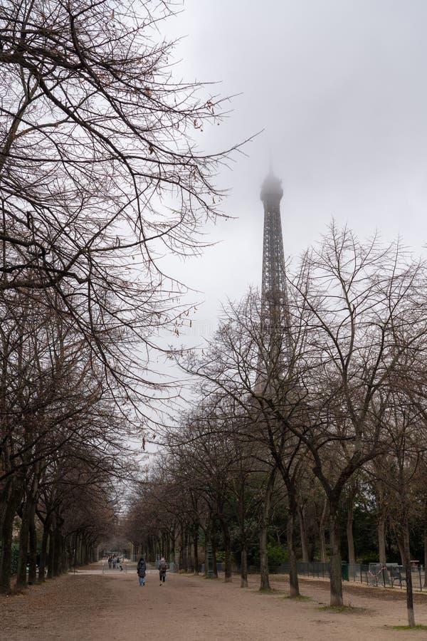 Then Eifel in Paris in the Park Whit Trees Stock Photo - Image of ...