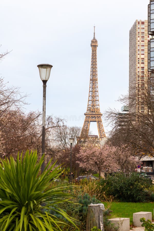 Then Eiffel in Paris in the Park Whit Trees Stock Photo - Image of ...