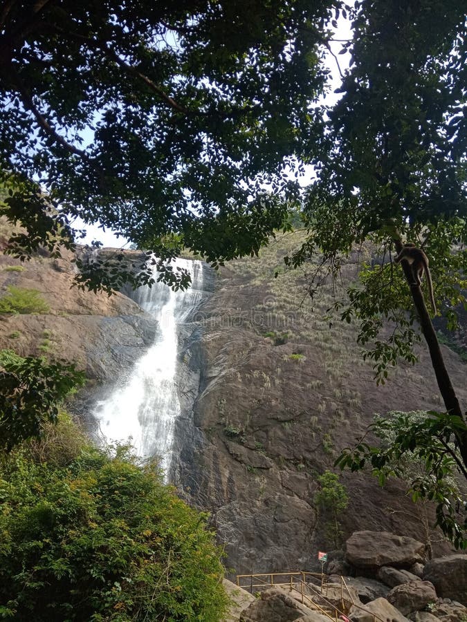 Thenmala Falls Stock Photos - Free & Royalty-Free Stock Photos from ...