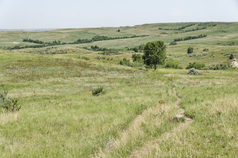 Theodore Roosevelt National Park - North Unit Stock Image - Image of ...