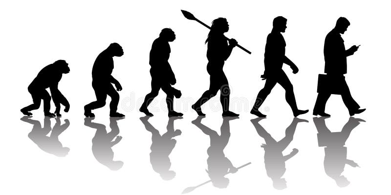 Theory of Evolution of Man. Silhouette with Reflection. Stock Vector ...