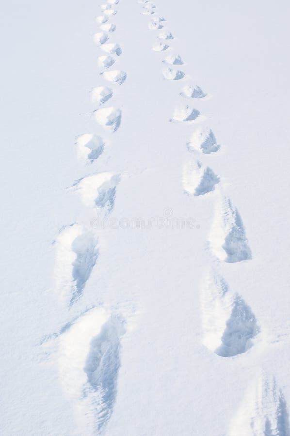 There and back. stock photo. Image of seasonal, direction - 23632222