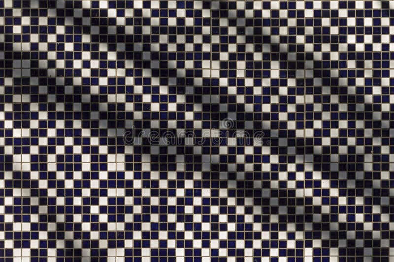 There is a Black and White Checkered Pattern that Casts a Shadow on the ...