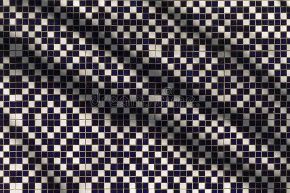 There is a Black and White Checkered Pattern that Casts a Shadow on the ...
