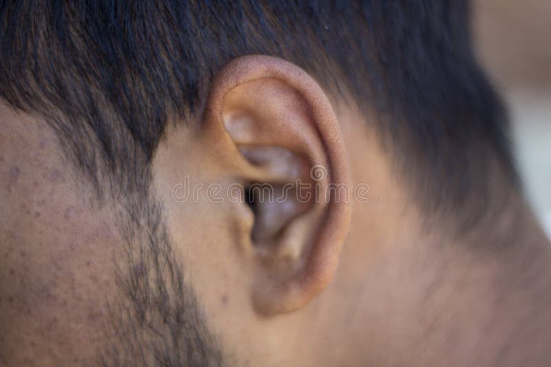 There is a Ear and Some Hair on a Human Head Stock Image - Image of ...