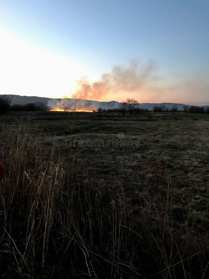 Autumn fire in the field stock image. Image of year - 183710661